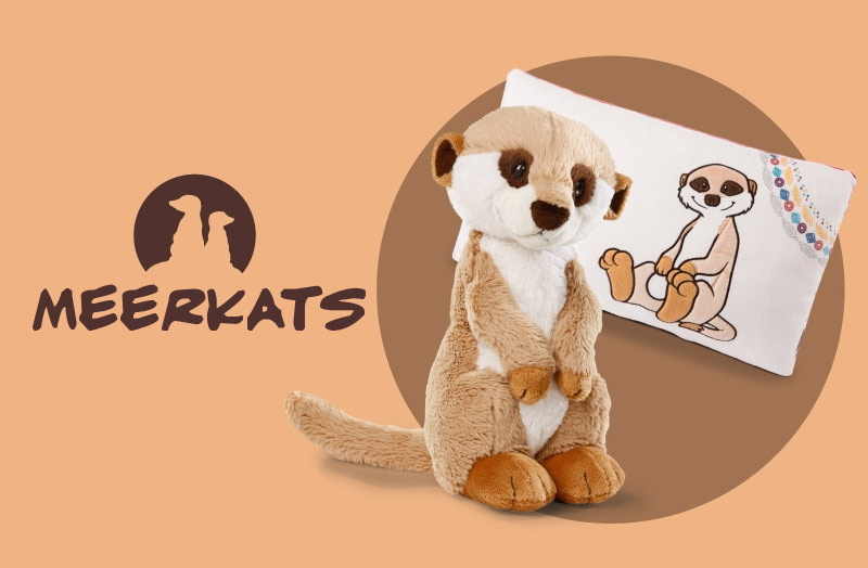 NICI Meerkat | nici.co.uk