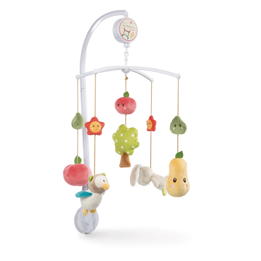 My First NICI | nici.co.uk
