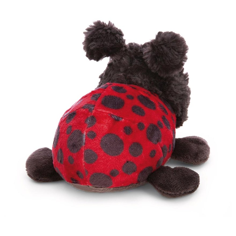 NICI Meadow Friends Dotti-Lotti Ladybird | nici.co.uk